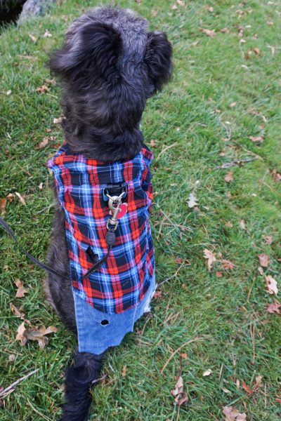 DIY Werewolf Dog Costume • Heather Handmade