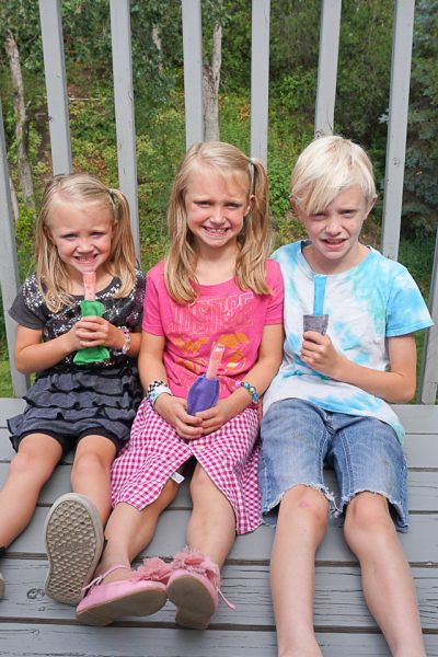 Free Popsicle Holder Sewing Pattern • Heather Handmade