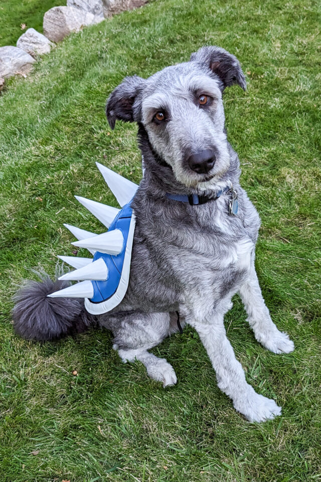 DIY Blue Shell Costume (From Mario) • Heather Handmade